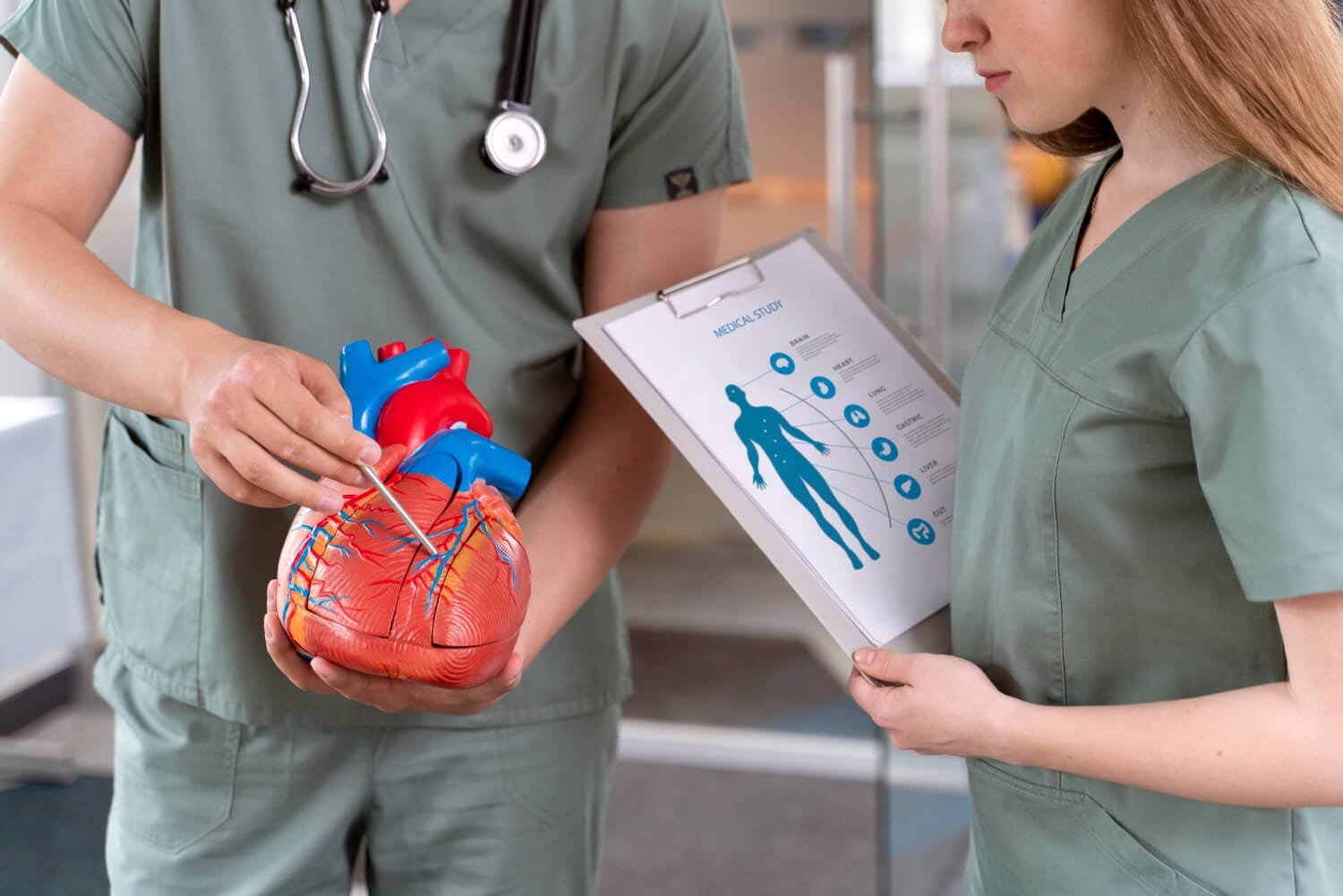 Tudo Sobre Cardiologia Preventiva: Estratégias Para Viver Mais E Melhor